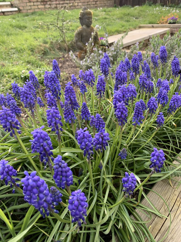 April Newsletter • Norwich Zen Buddhist Priory