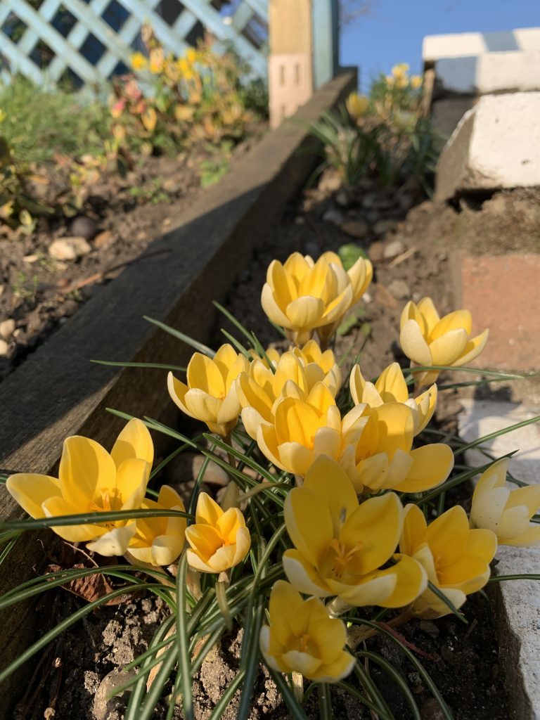 March Newsletter • Norwich Zen Buddhist Priory